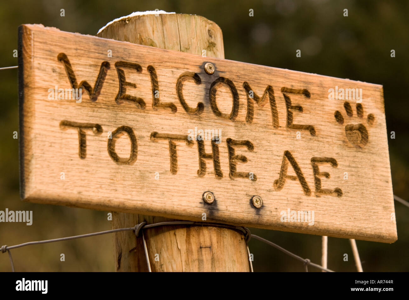Dog Sport Scotland paw print on sign for husky training circuit in Ae ...