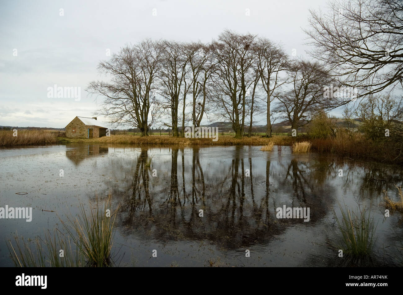Curling pond hi-res stock photography and images - Alamy