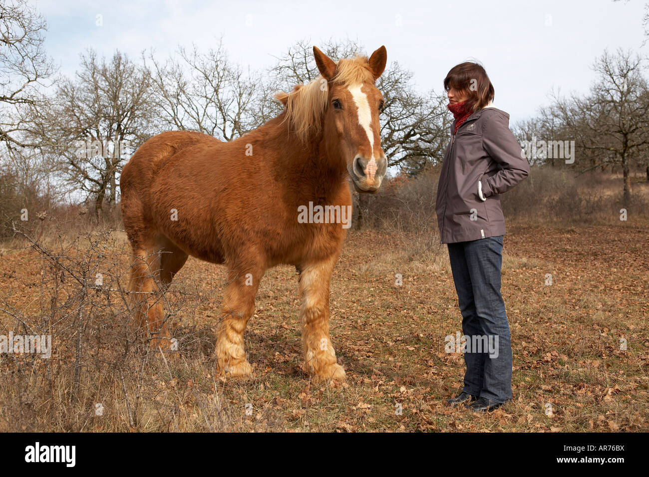 Make a draught hi-res stock photography and images - Alamy