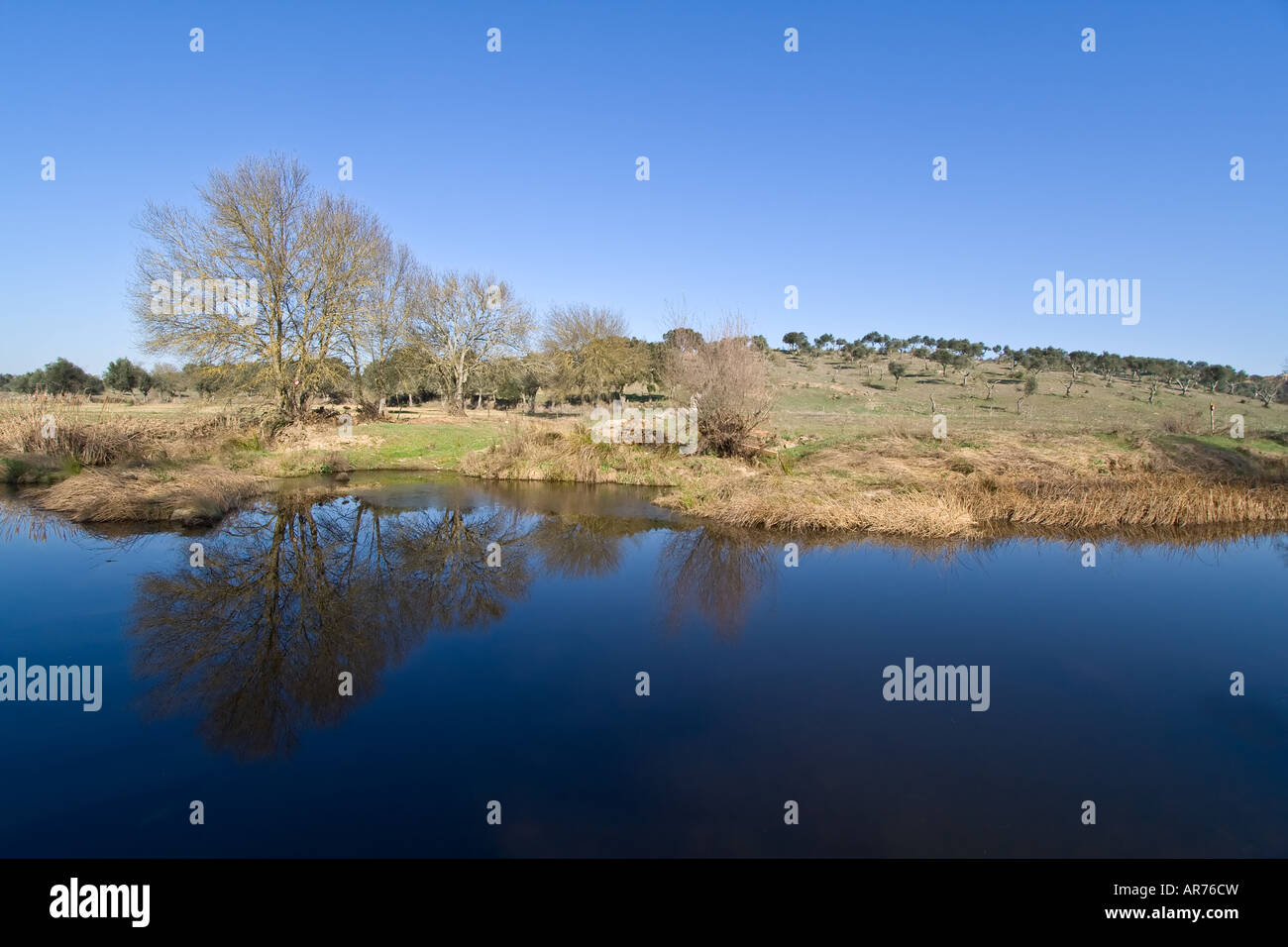Rural landscape in Alentejo at winter, Portugal Stock Photo - Alamy