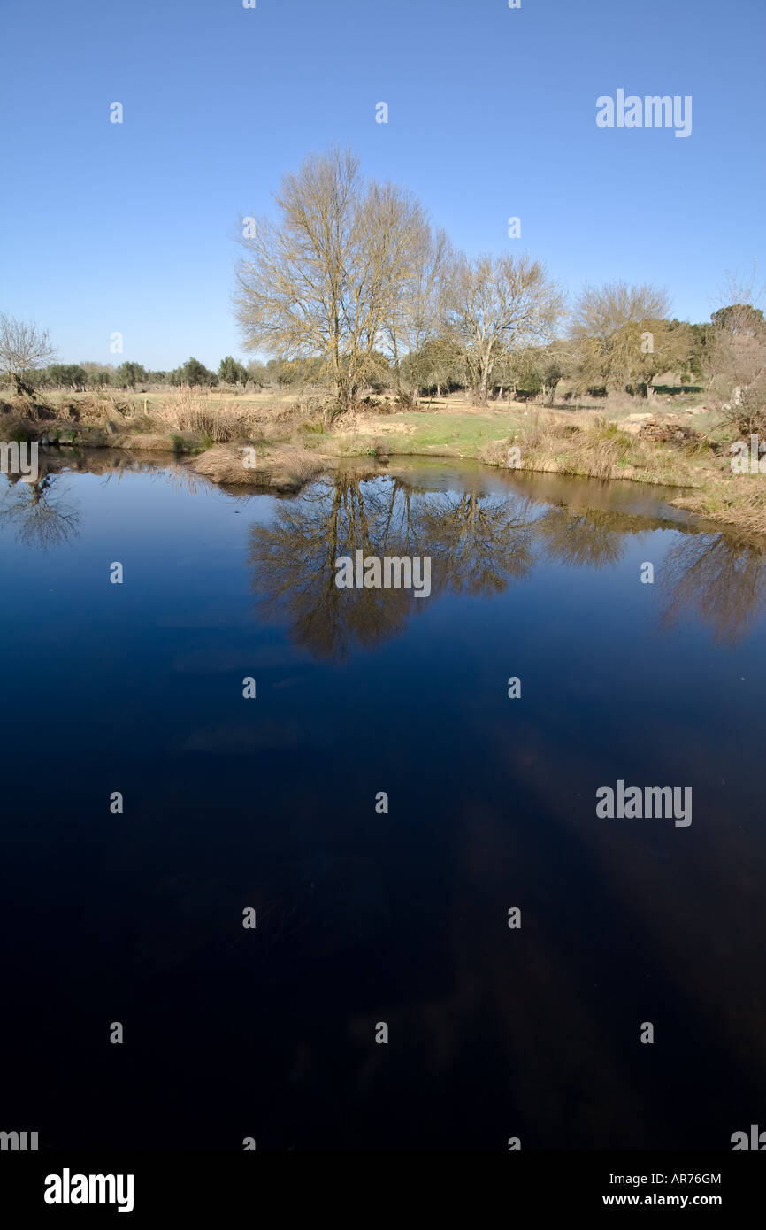Rural landscape in Alentejo at winter, Portugal Stock Photo - Alamy