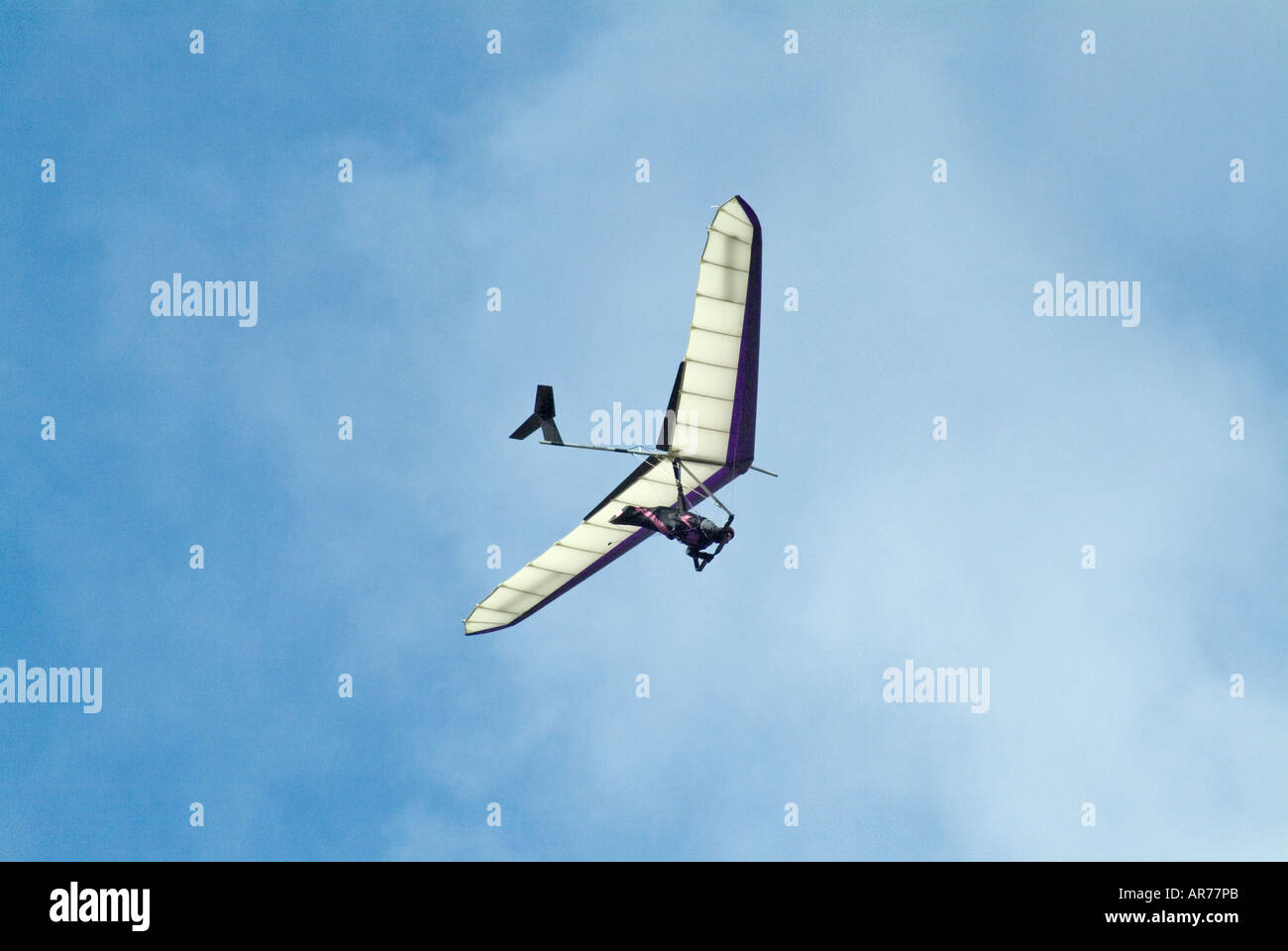 High performance glider hi-res stock photography and images - Alamy