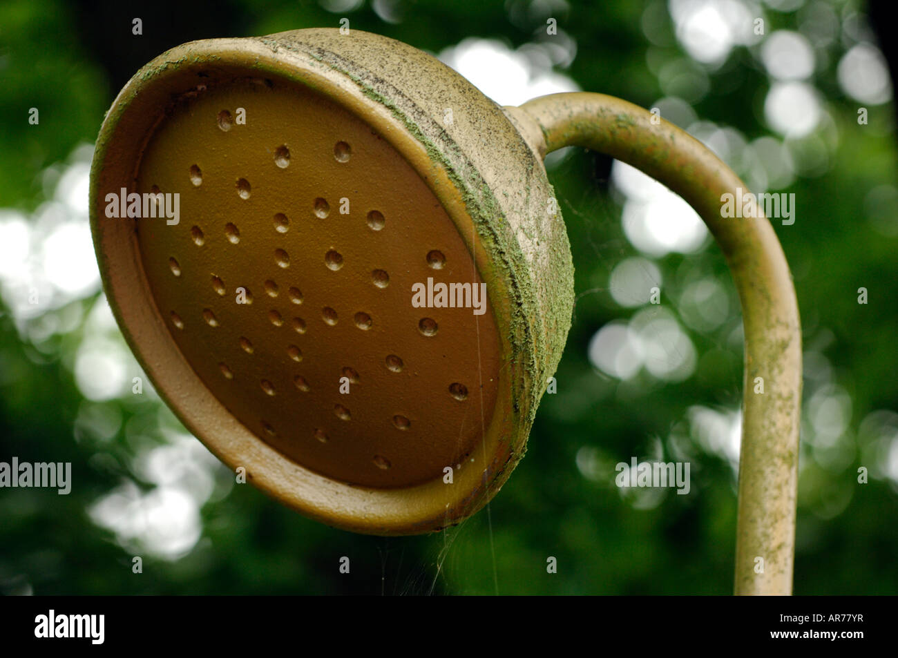 a large shower rose head outside with green trees and bushes as a ...
