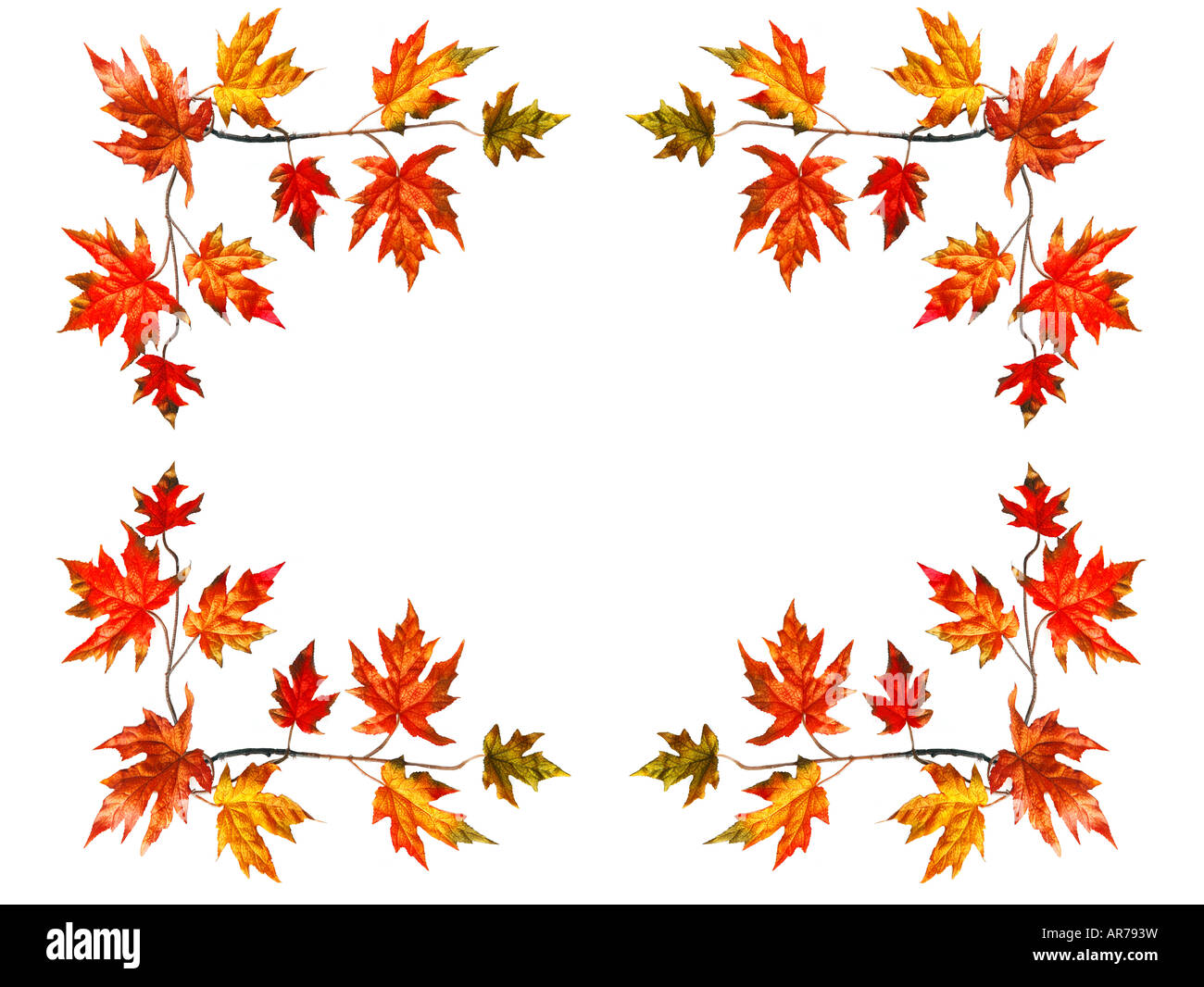 Autumn frame leaves branches Cut Out Stock Images & Pictures - Alamy