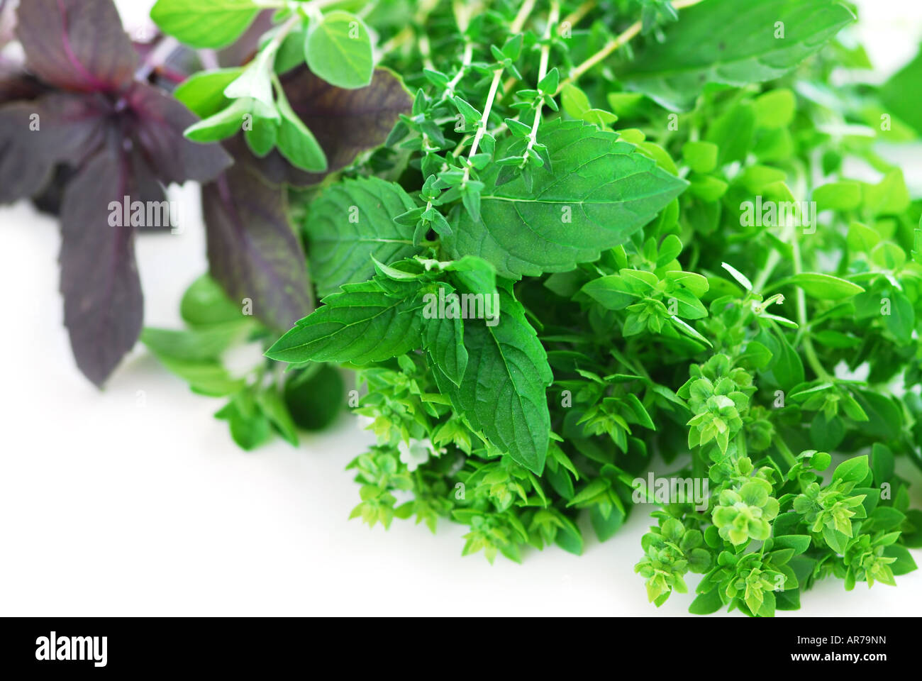 Bunch of fresh assorted herbs on white background Stock Photo - Alamy