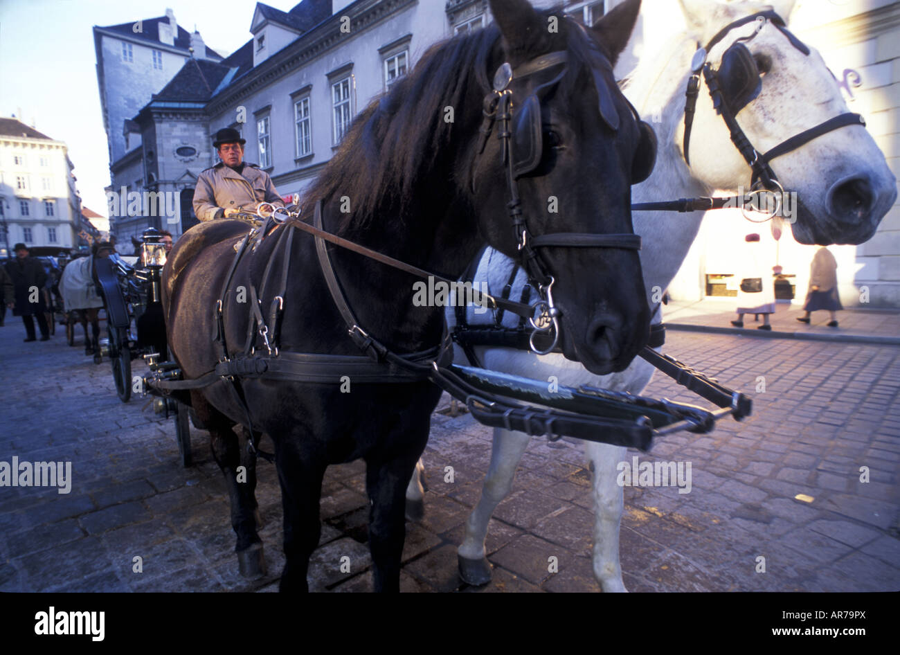 Fiaker or fiacre a popular way for tourists to move around the First ...