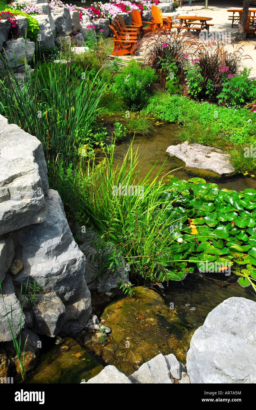Natural stone pond and patio landscaping with aquatic plants Stock ...