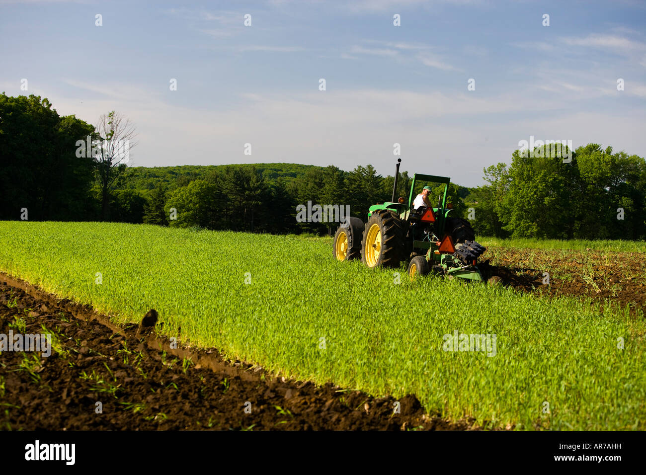 Plowing a field in Grafton, Massachusetts Stock Photo - Alamy