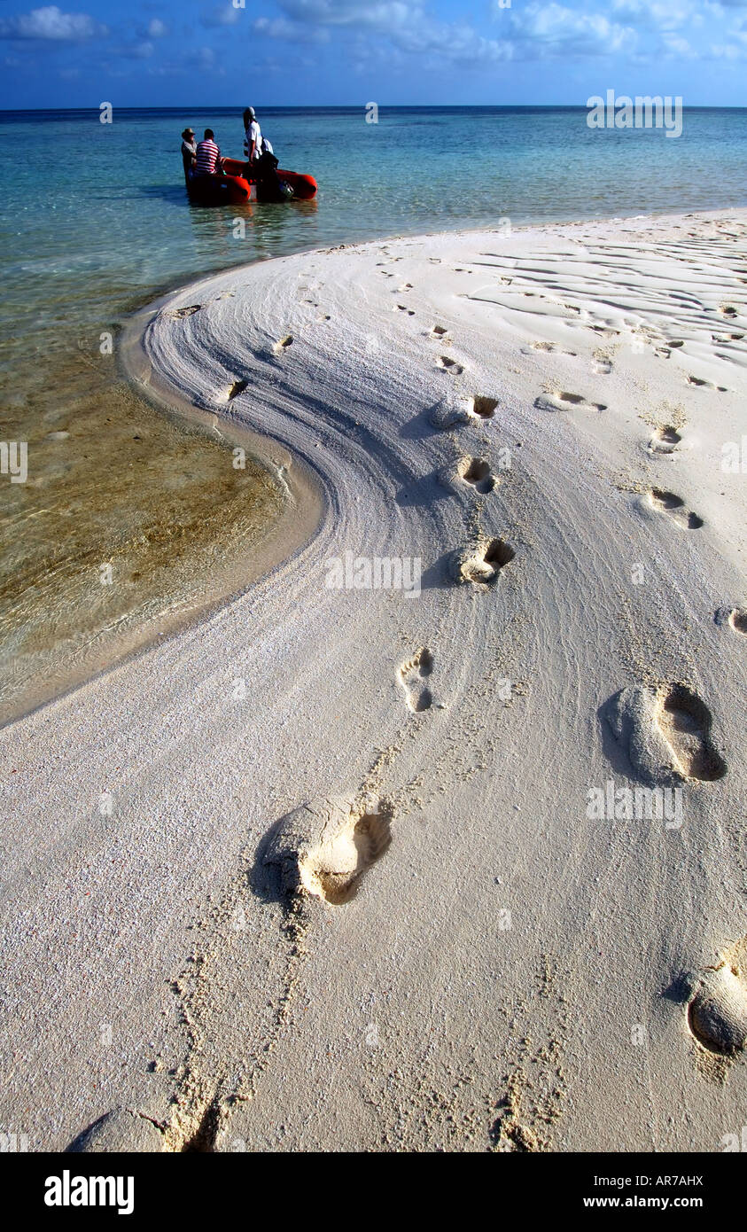 Marine biological survey team visiting Bedwell Island, Clerke Reef ...