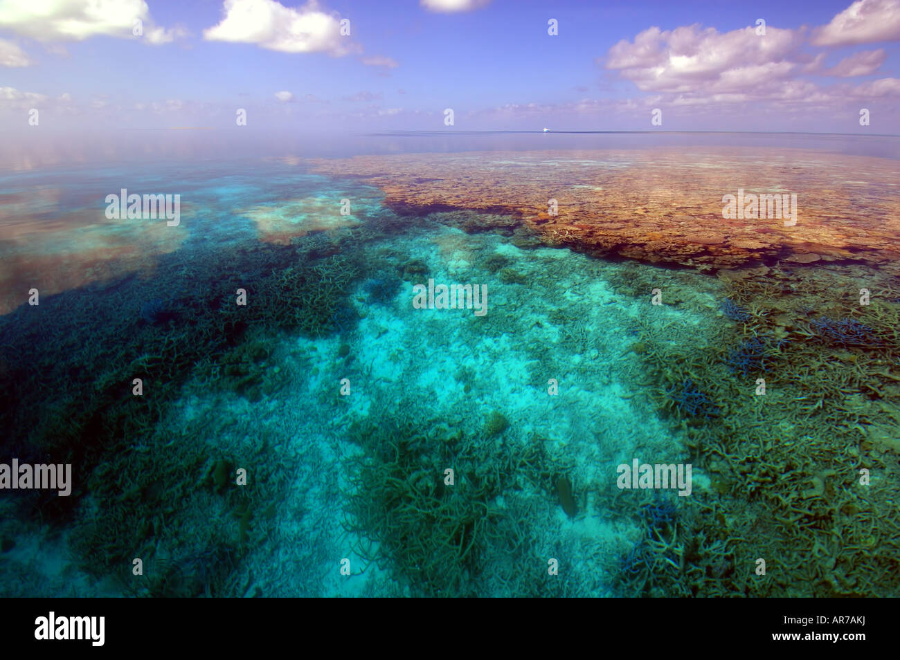 Clear calm lagoon coral reefs hi-res stock photography and images - Alamy