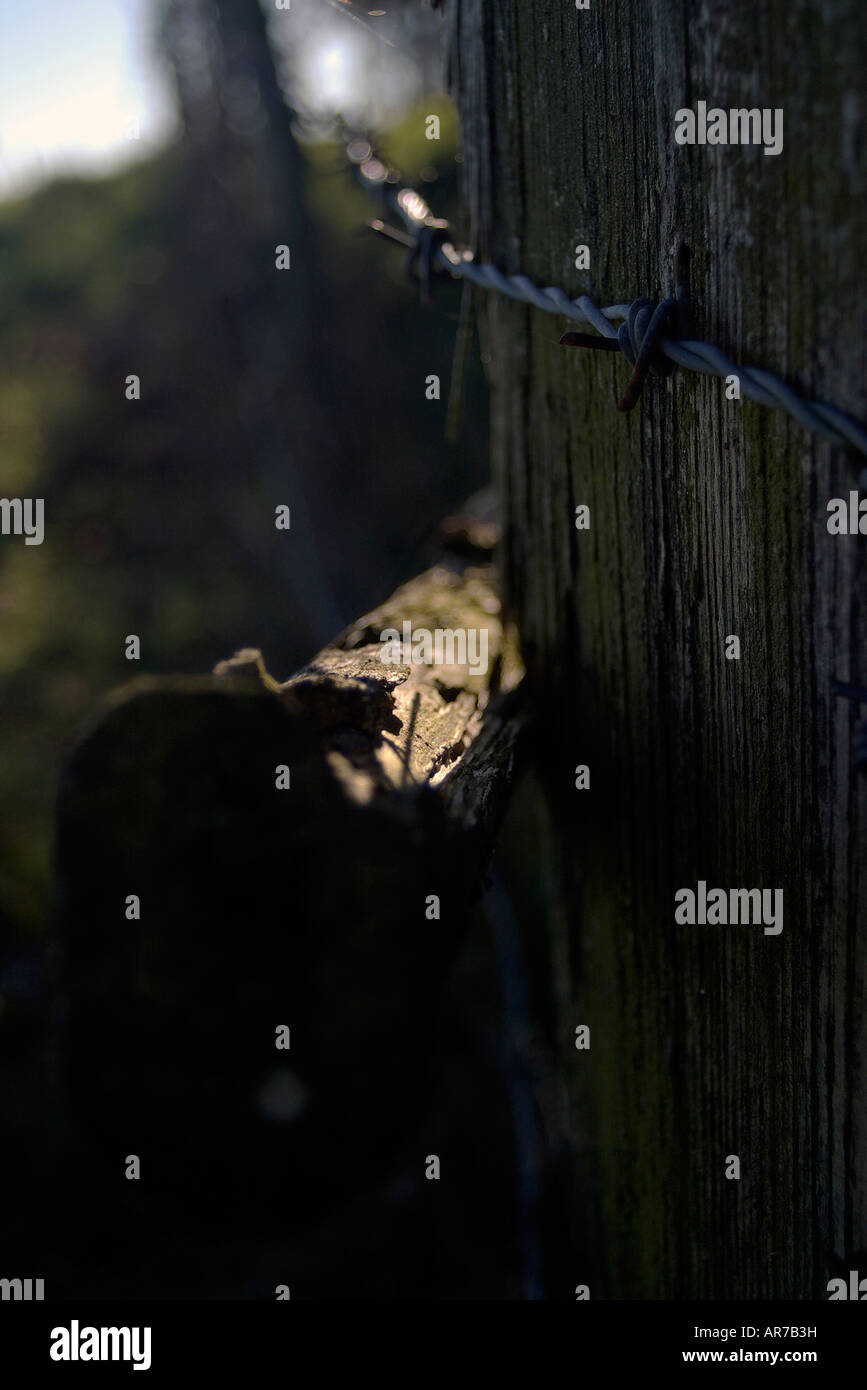 Wood stake and wire fence hi-res stock photography and images - Alamy