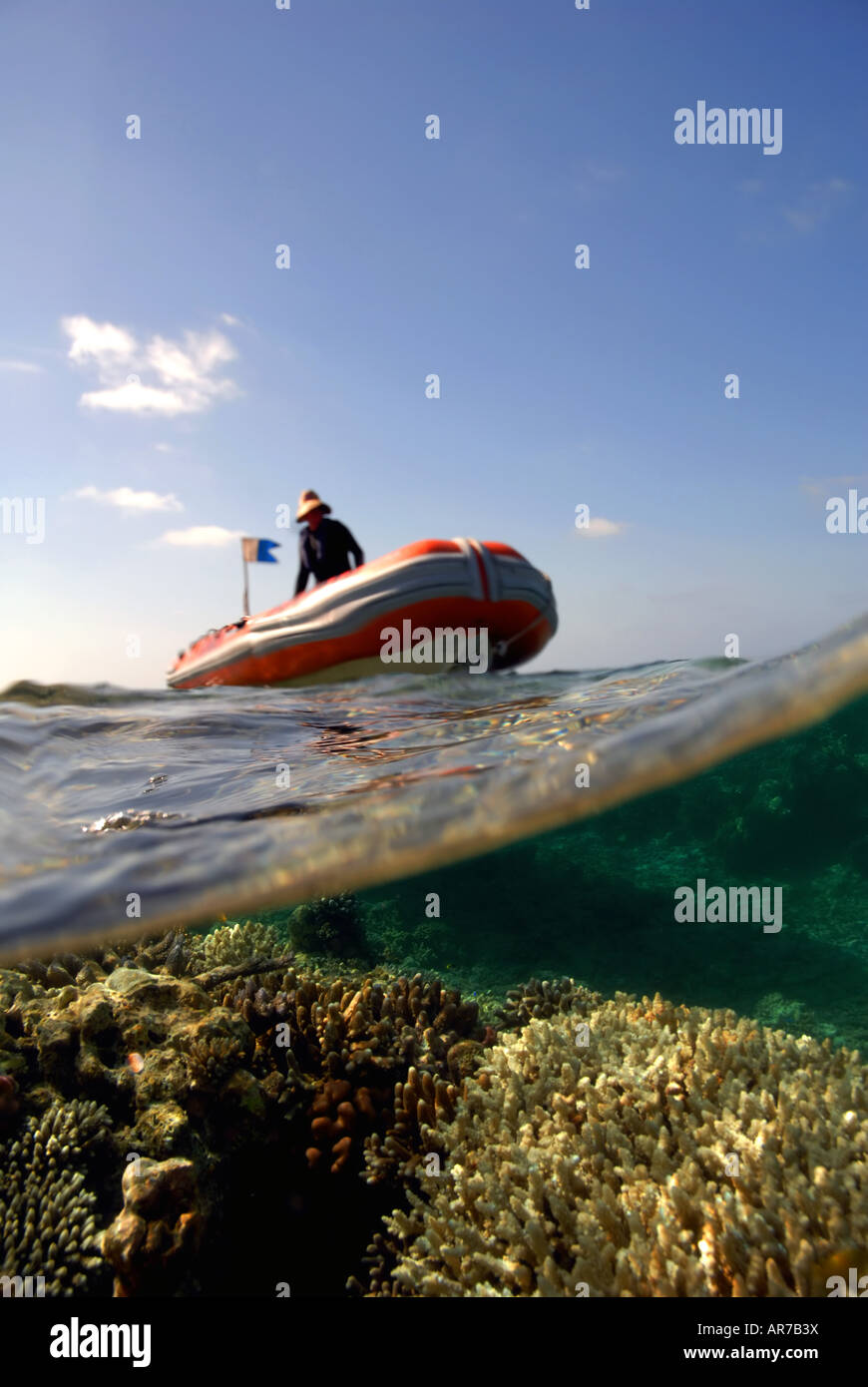 Marine biologist boat hi-res stock photography and images - Alamy