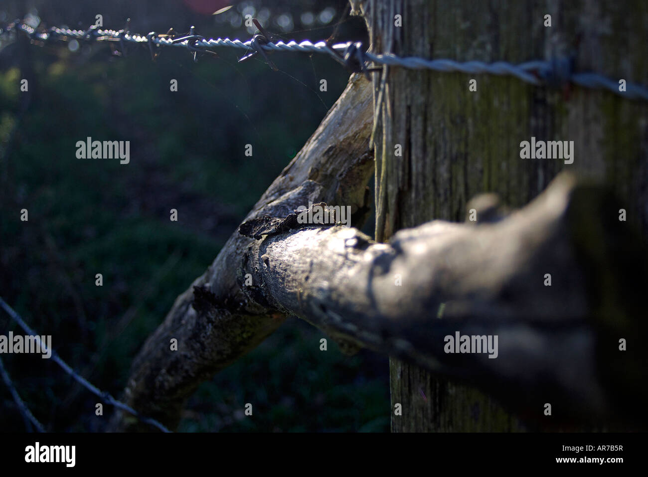 Stake and wire fence hi-res stock photography and images - Alamy