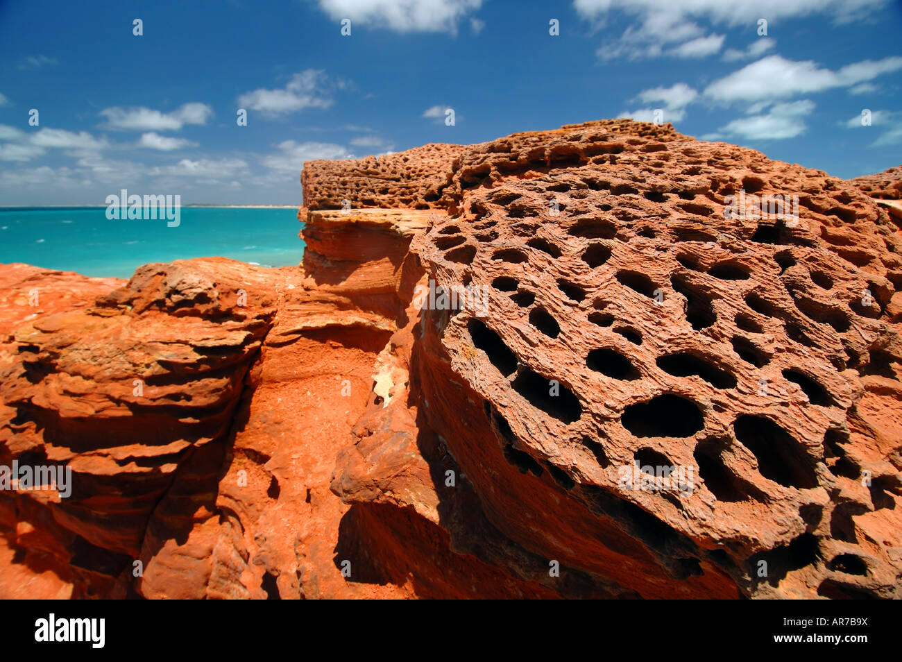 Honeycomb erosion of red rocks at Gantheaume Point with Cable Beach in ...