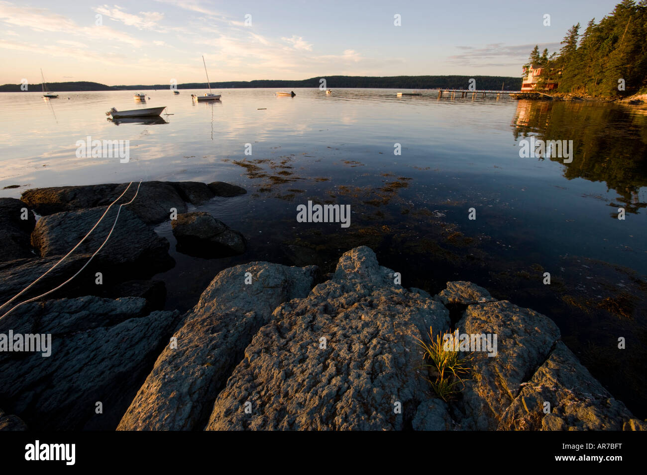 The shoreline on Little Deer Isle in Maine Stock Photo - Alamy