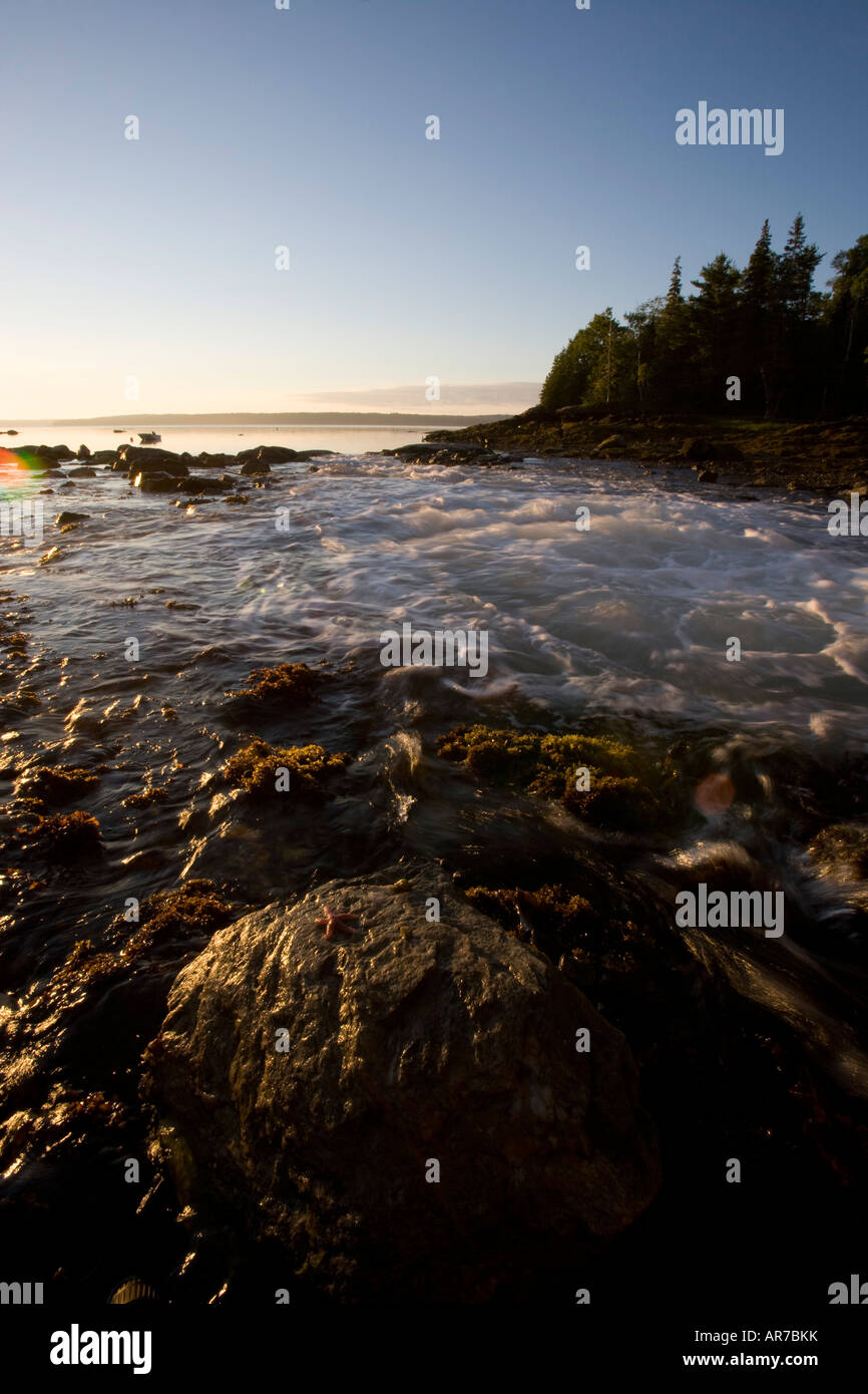 Early morning in Blue Hill Bay. Blue Hill Falls, Maine. Water flows ...