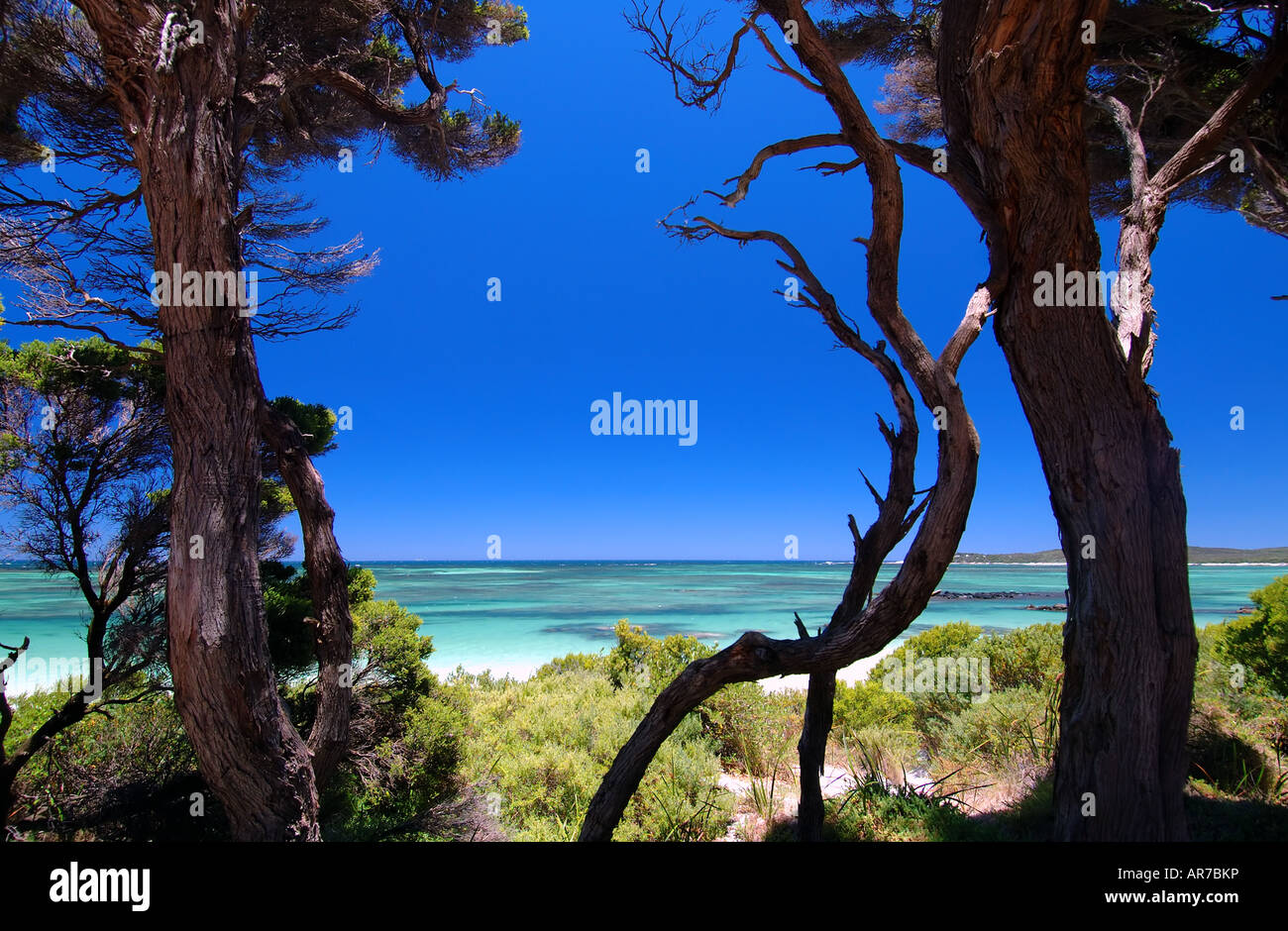 Coastal lagoon at Mason Bay near Hopetoun southern Western Australia ...