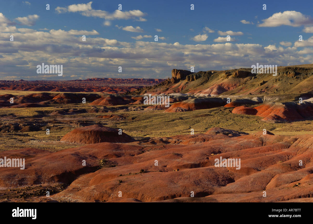 Arizona's Painted Desert National Park Stock Photo - Alamy