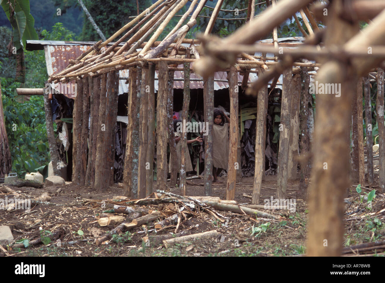 mountain tribe deep in the Columbian rainforest Caribbean coast ...