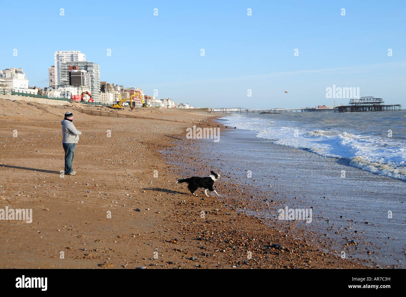 Brighton beach walking dog hi-res stock photography and images - Alamy
