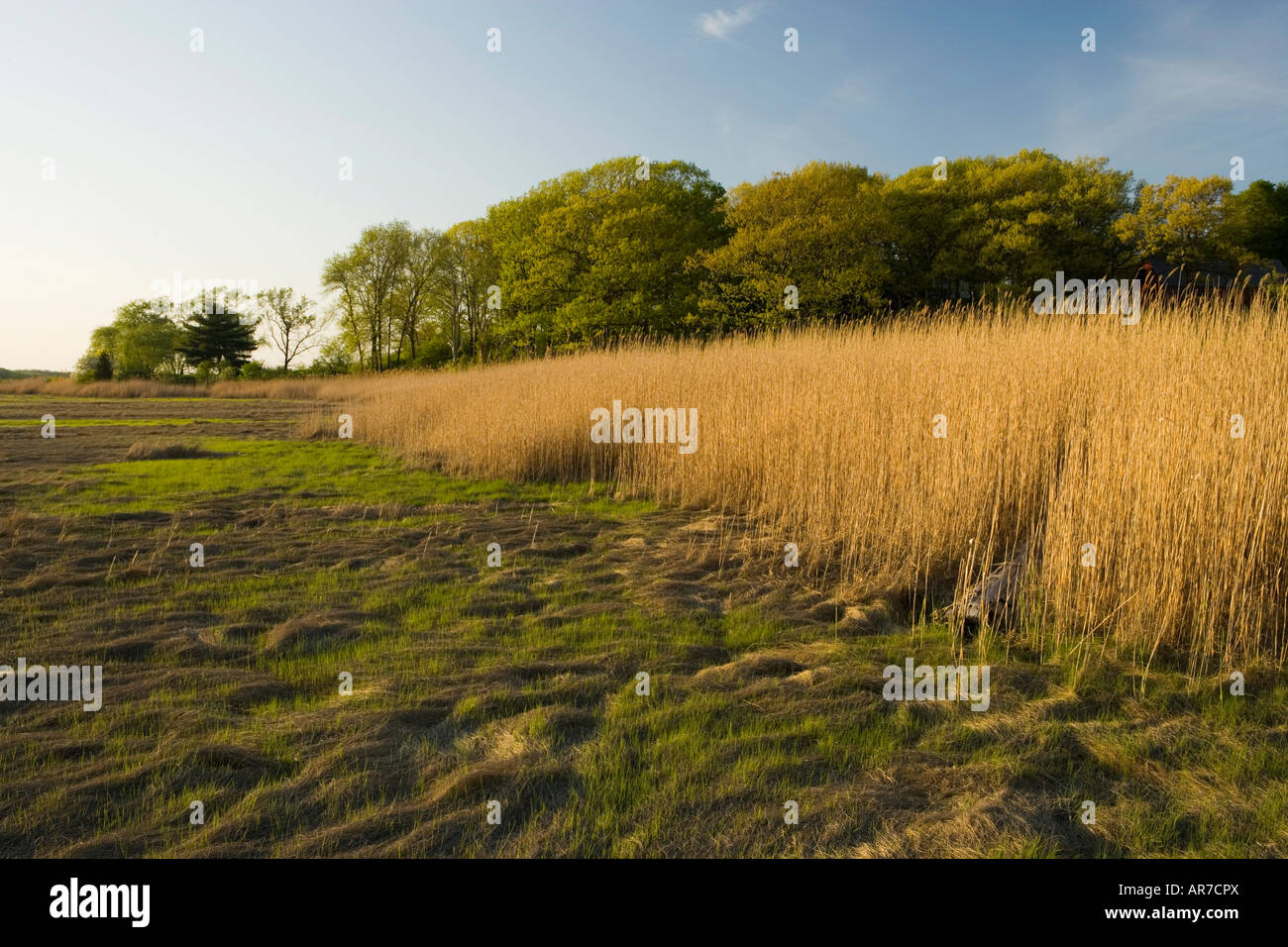 Ipswich landscape hi-res stock photography and images - Alamy