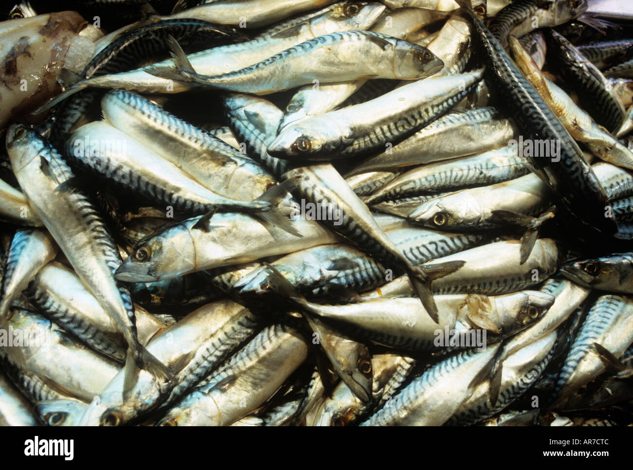 Fish stall in english market, cork hi-res stock photography and images ...