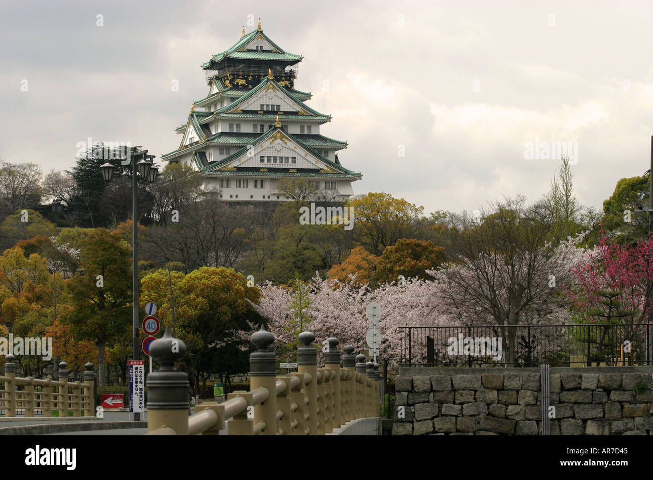 Popular Kansai tourist attraction Osaka Jo castle in spring Cherry ...