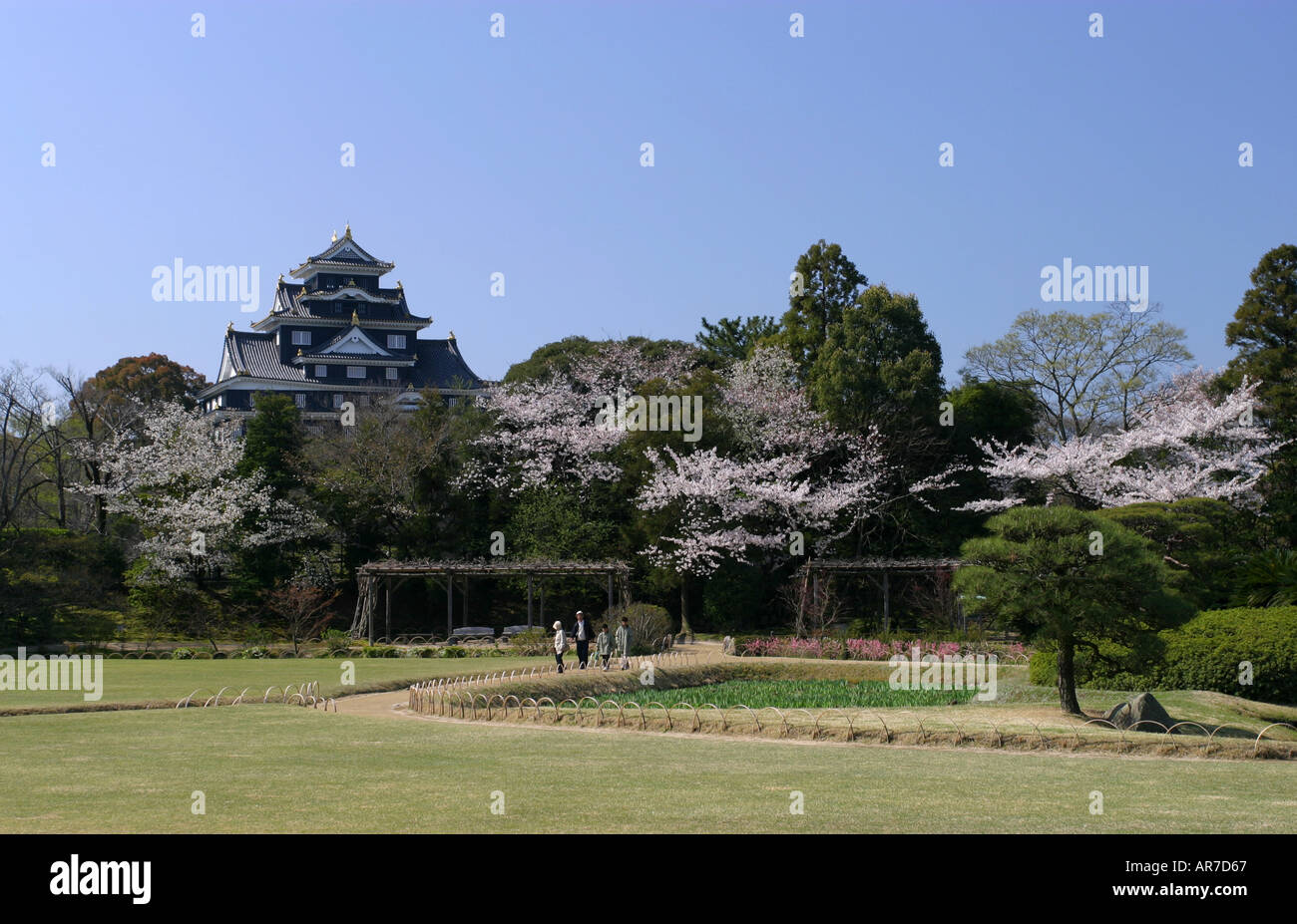Famous tourist attraction Okayama castle park with blooming spring ...