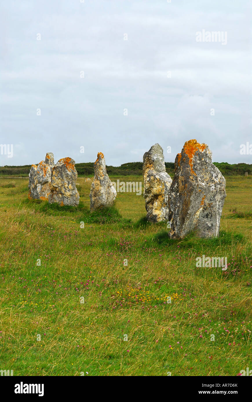 Prehistoric megalithic monuments menhirs in Brittany France Stock Photo ...