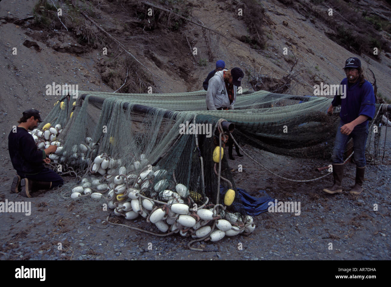 commercial set net fishing crew fixes their nets on a beach in ...