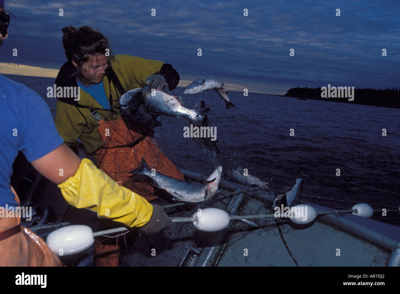 Coho beach hi-res stock photography and images - Alamy