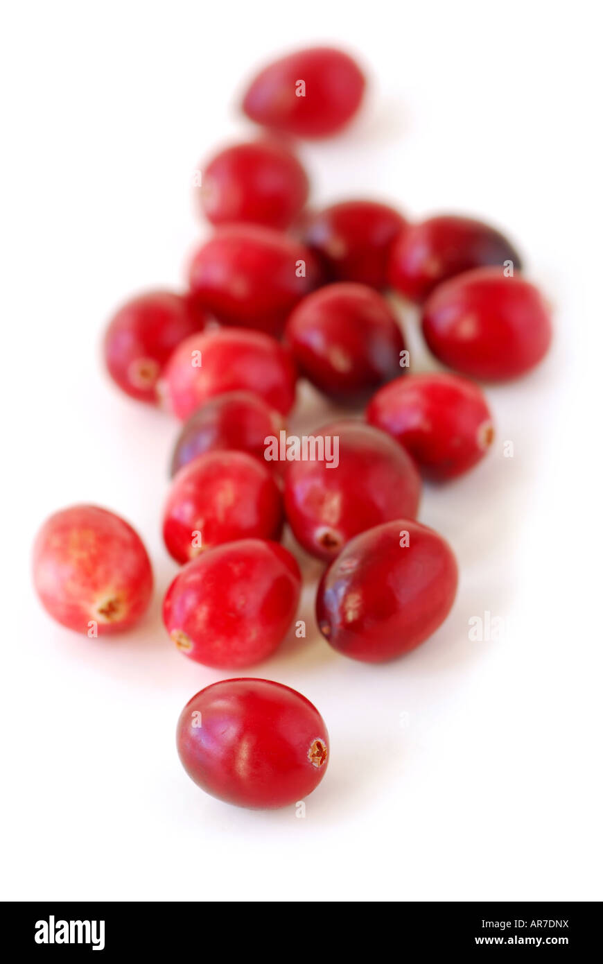 Fresh red cranberries macro on white background Stock Photo - Alamy