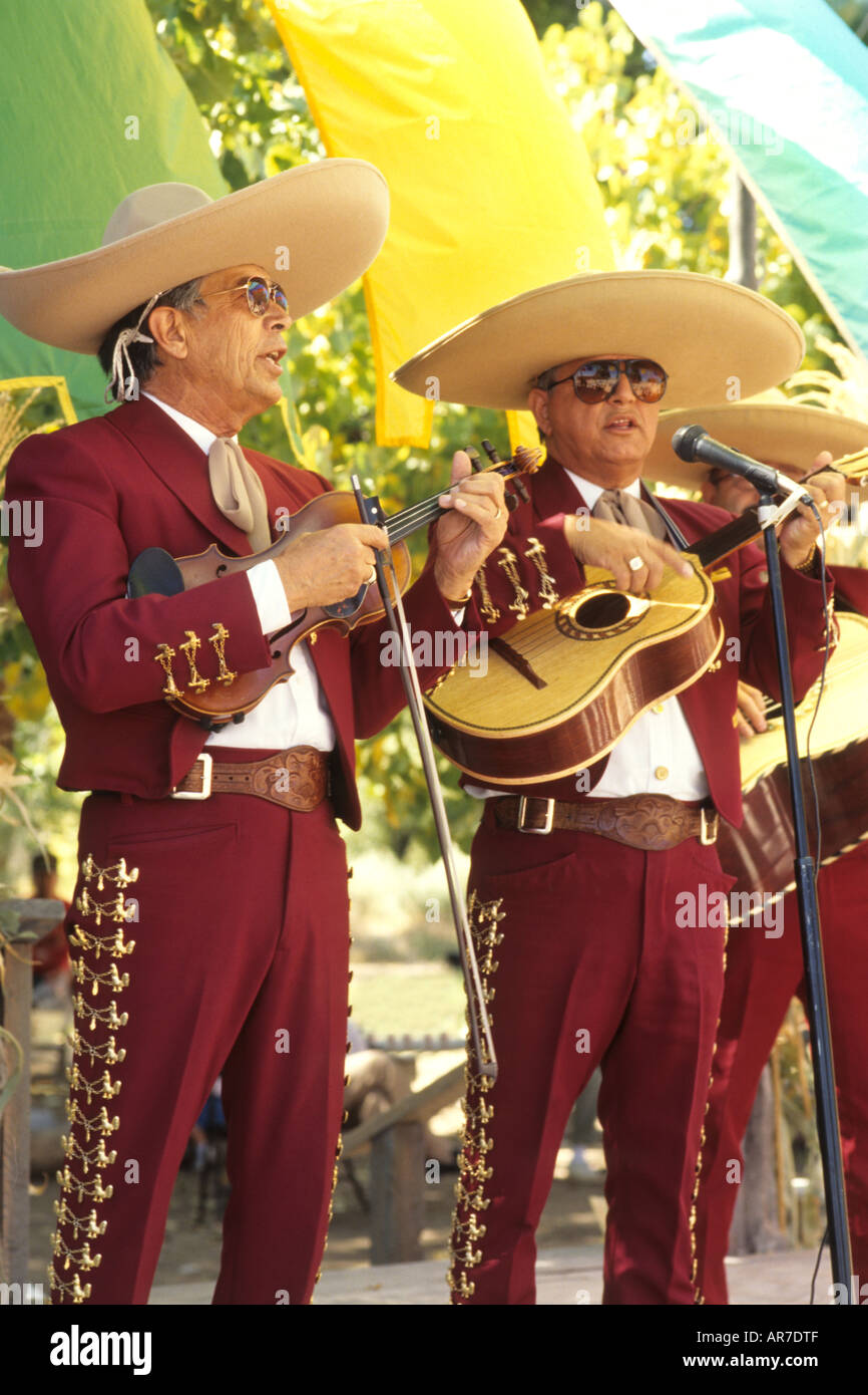 Musicians playing in mariachi band hi-res stock photography and images ...