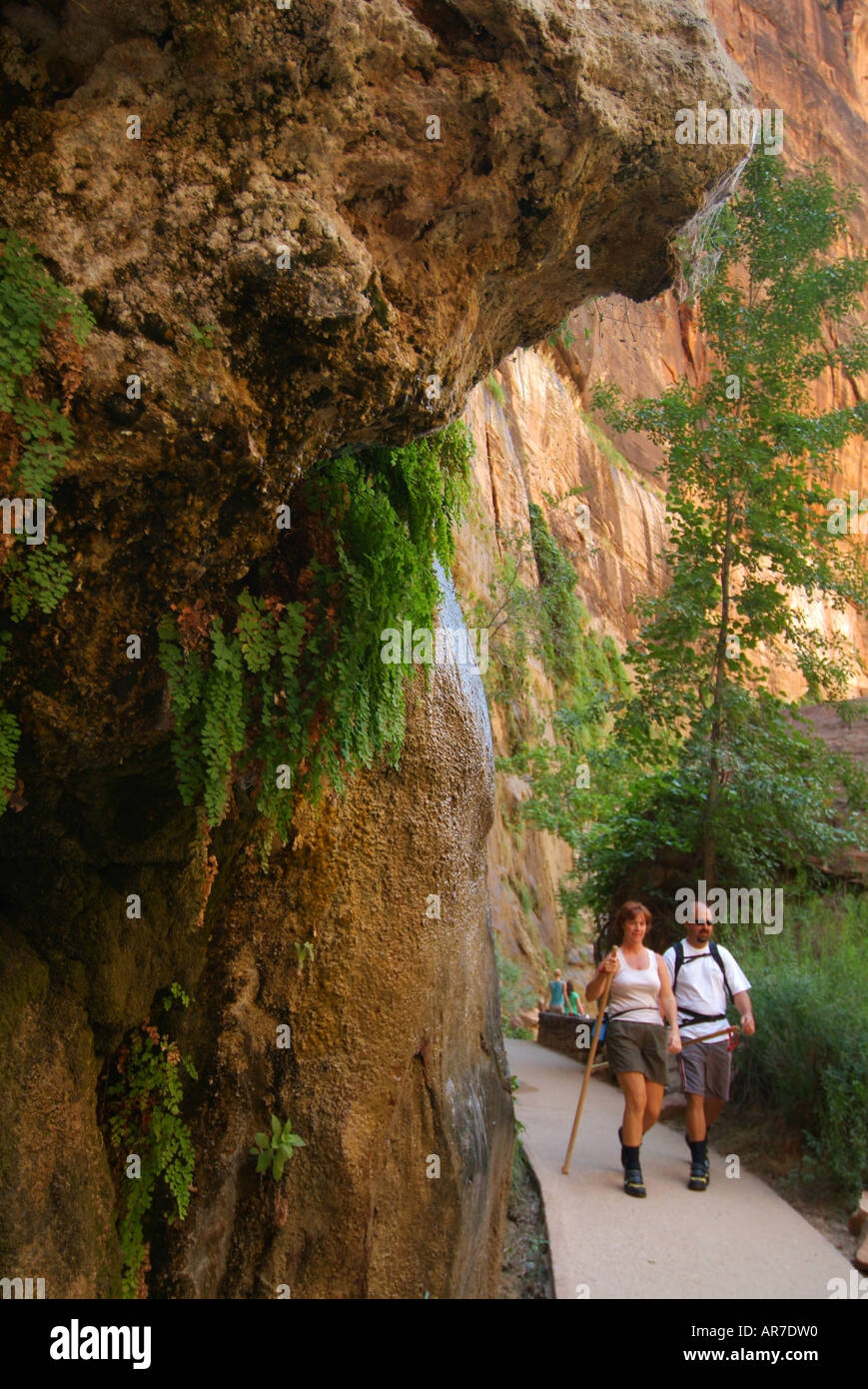 Visitors hike along the Riverside Walk trail that takes them into a ...