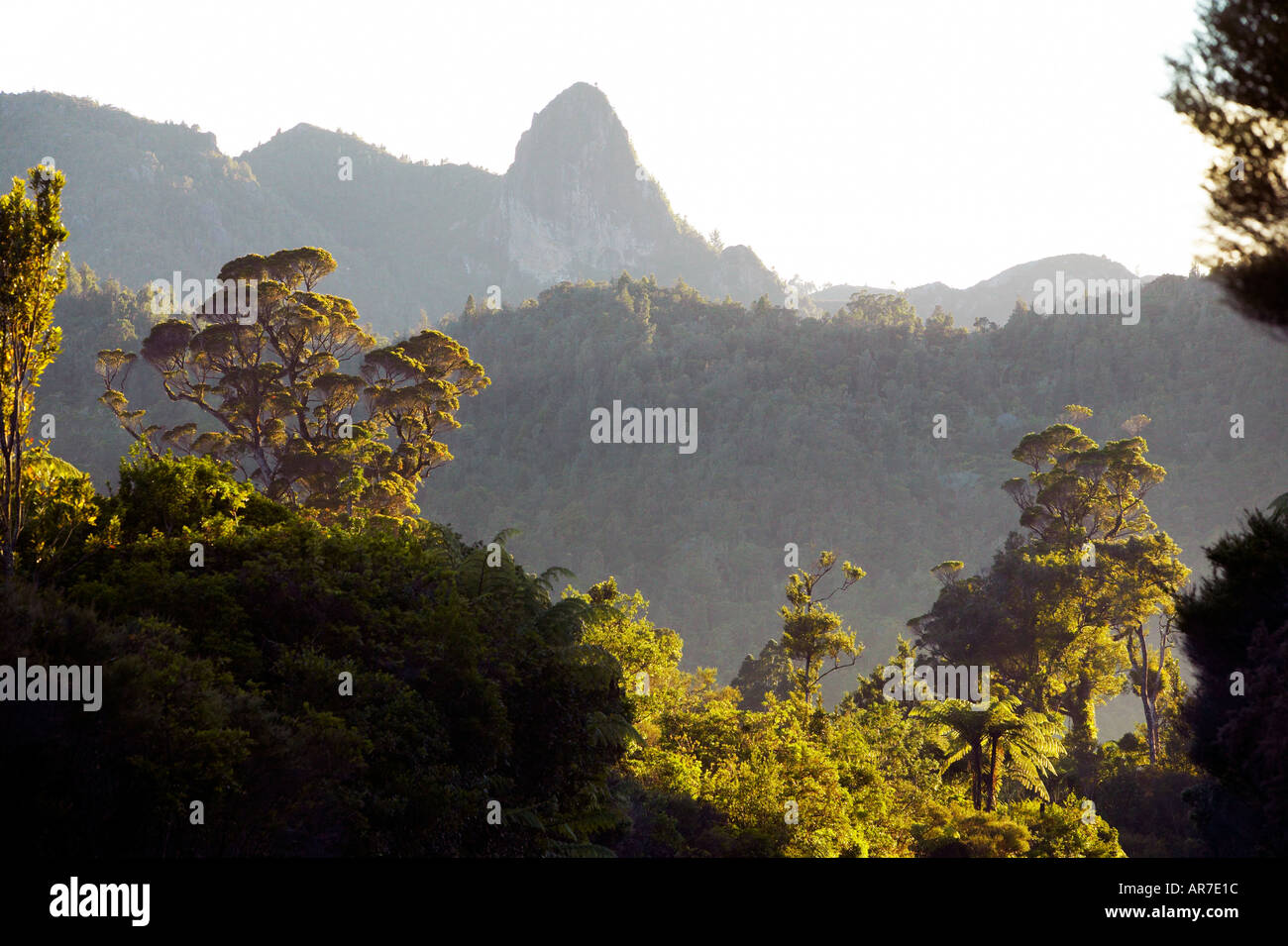 Coromandel ranges hi-res stock photography and images - Alamy