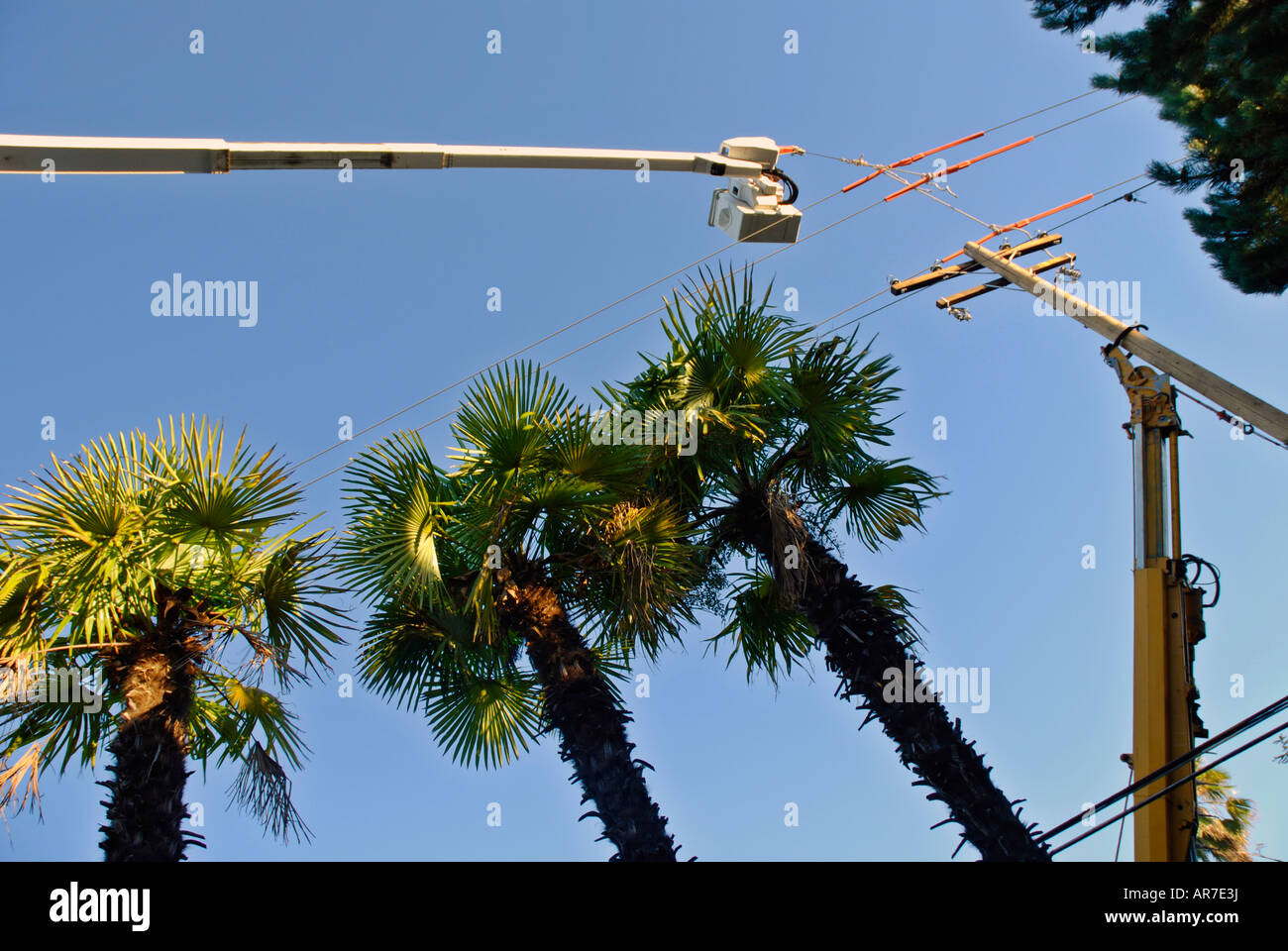 Crane Lifts Near Power Lines at Clinton Long blog