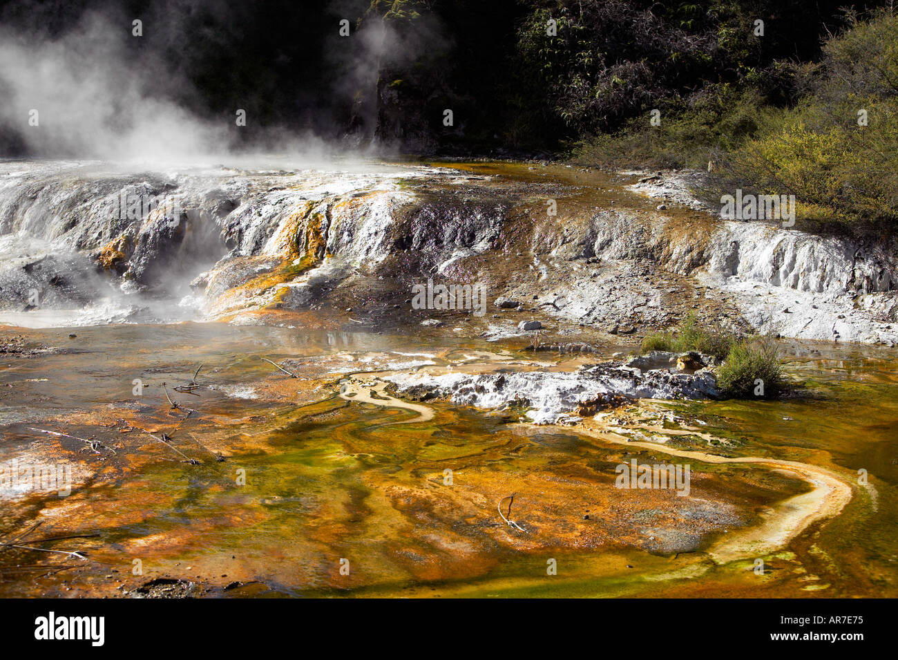 Rotorua fun hi-res stock photography and images - Alamy