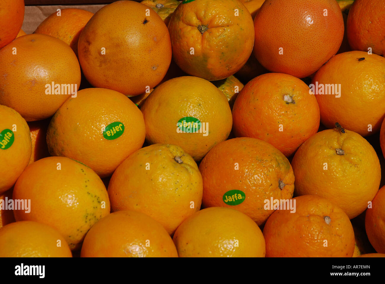 A pile of fresh and ripe Jaffa Oranges Stock Photo - Alamy