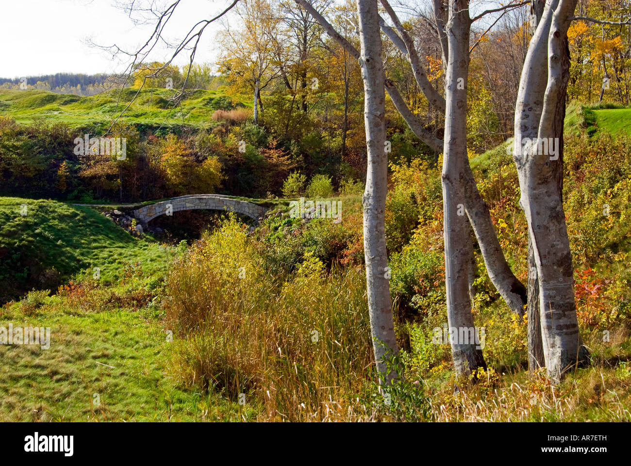 Golf cart path and bridge hi-res stock photography and images - Alamy