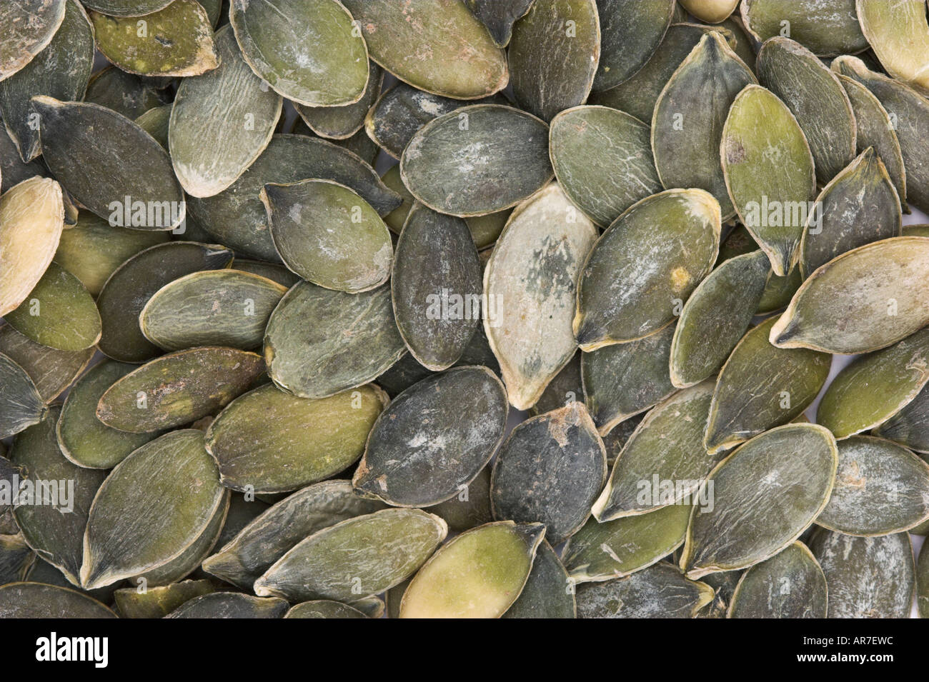 Pumpkin seeds Cucurbita pepo Stock Photo - Alamy
