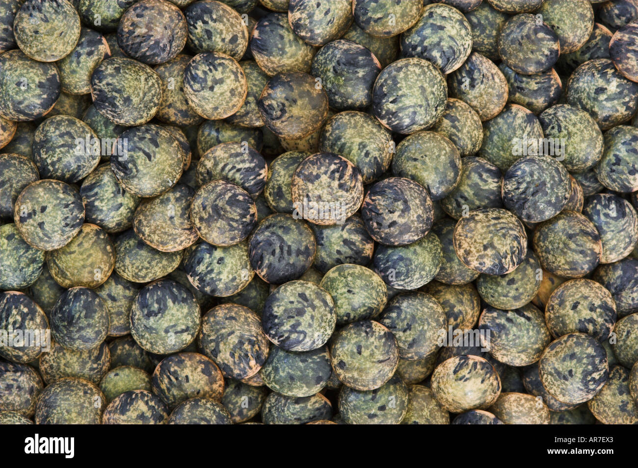 Lentilles vertes lentilles vertes hi-res stock photography and images ...