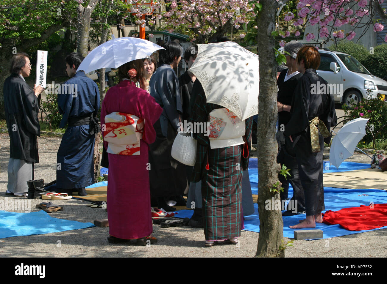 Japanese women wearing traditional Kimono at a spring cherry blossom ...