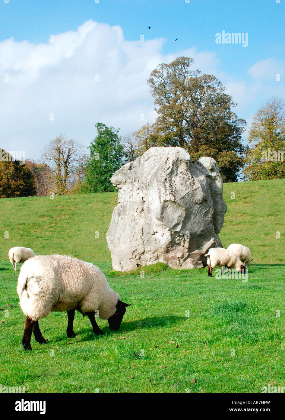 Stone sheep hi-res stock photography and images - Alamy