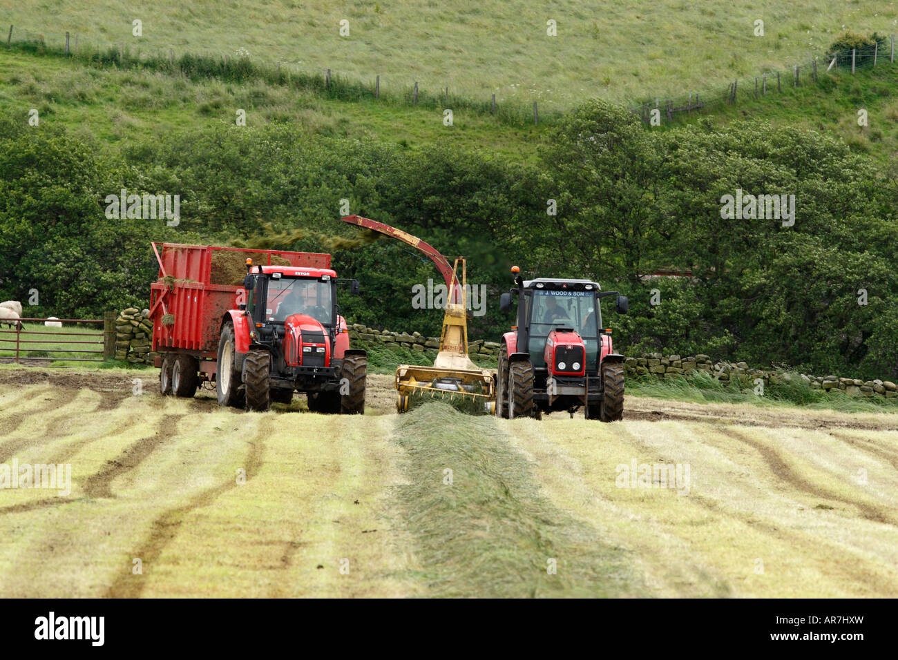 Teamwork coordination synchronisation farming hi-res stock photography ...