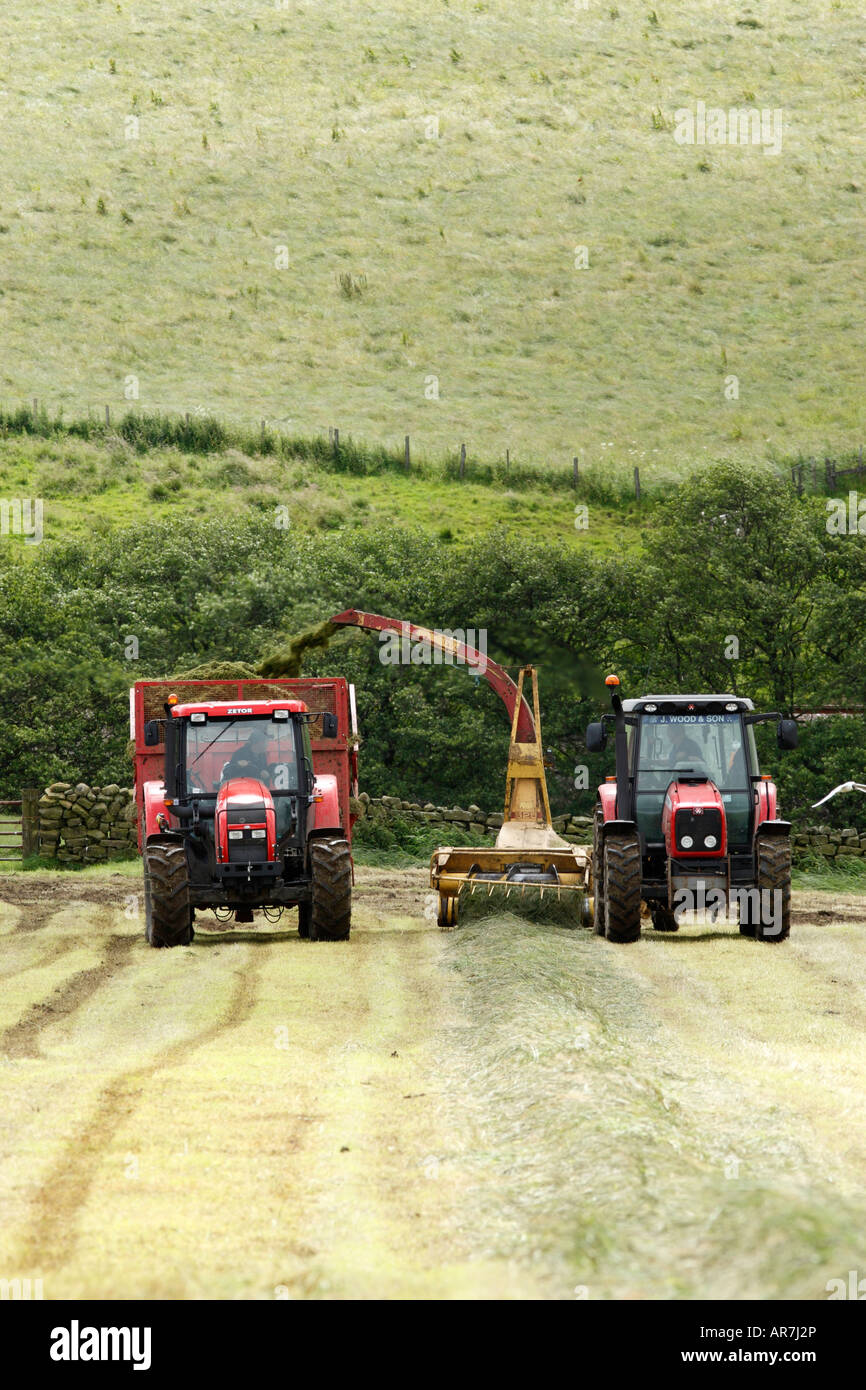 Teamwork coordination synchronisation farming hi-res stock photography ...