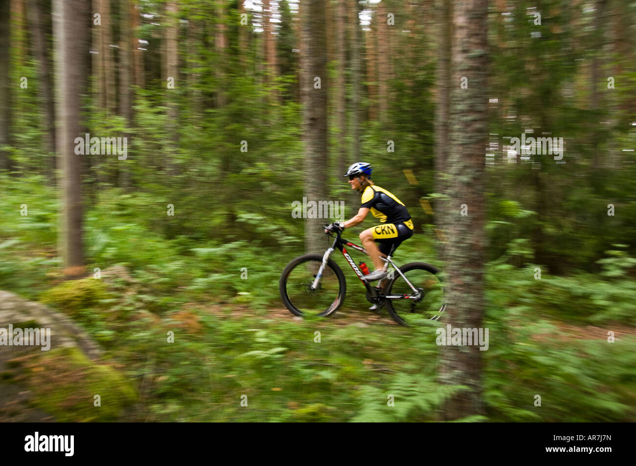 Female rider train on a mountainbike on a trail in the woods Stock ...