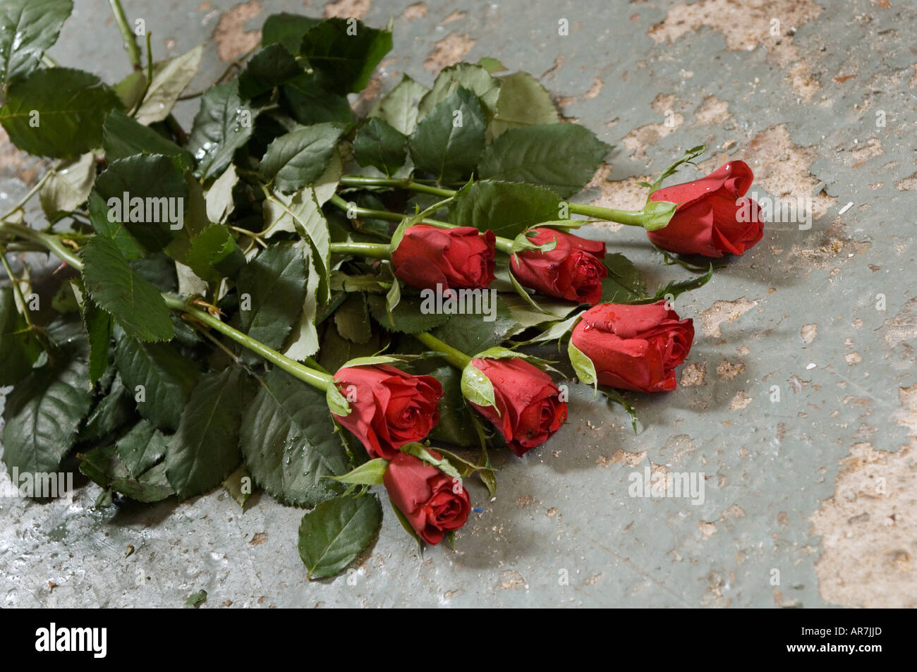 Death tribute flowers crime hi-res stock photography and images - Alamy
