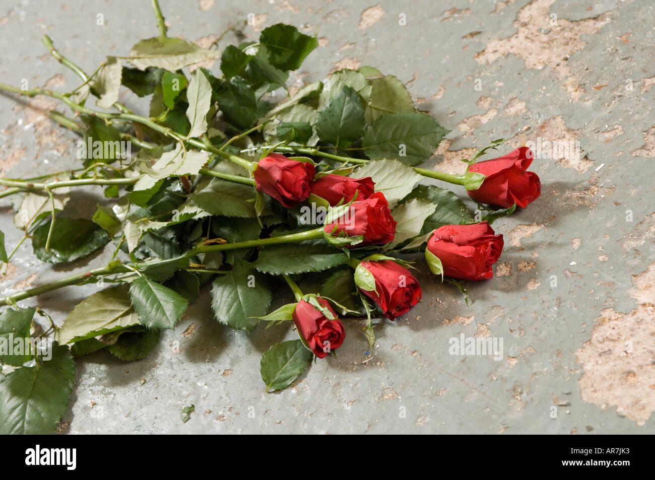 Death tribute flowers crime hi-res stock photography and images - Alamy