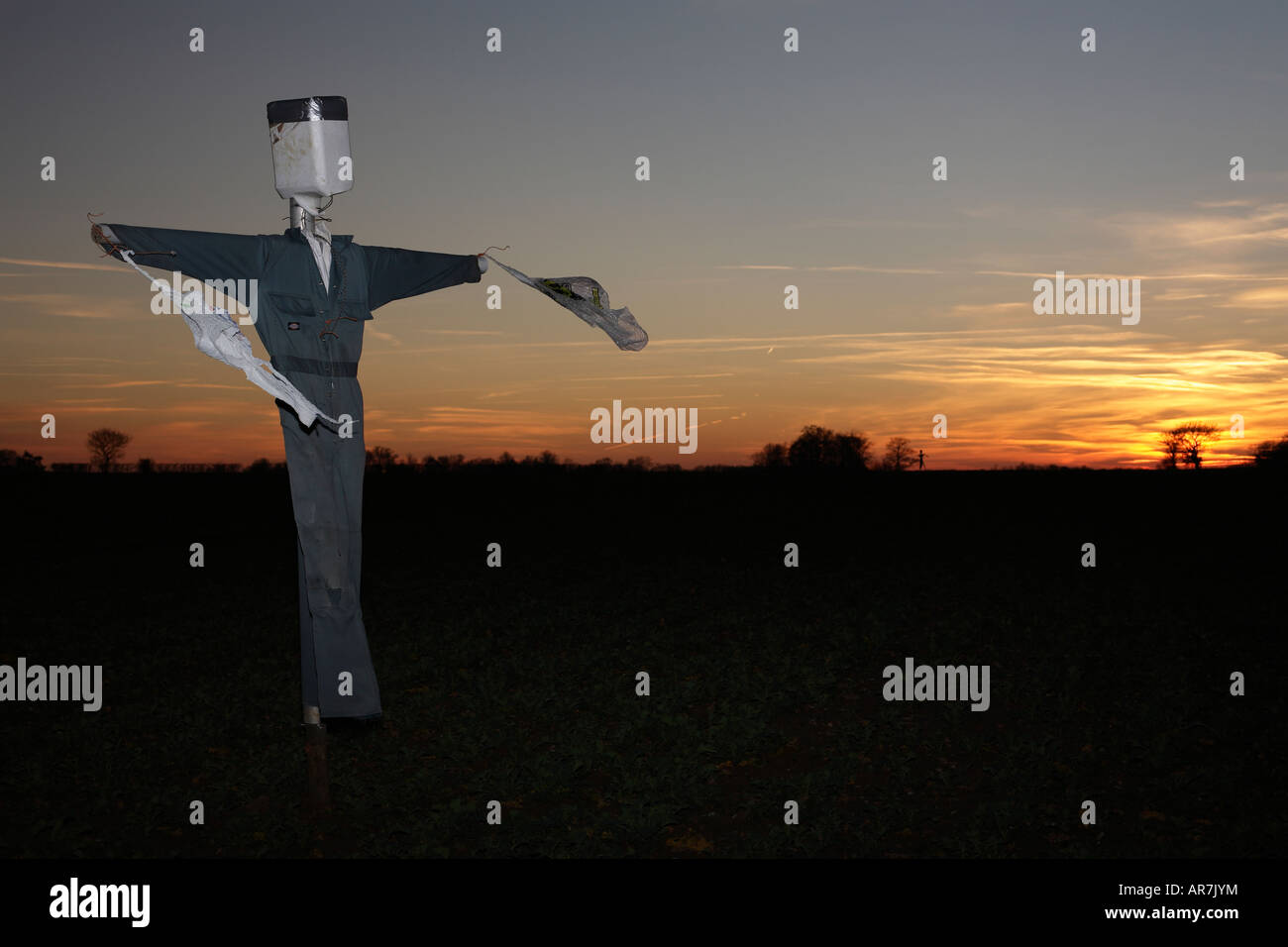 Scarecrow field birds hi-res stock photography and images - Alamy