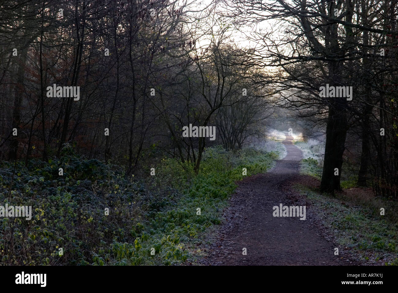 Epping forest family hi-res stock photography and images - Alamy